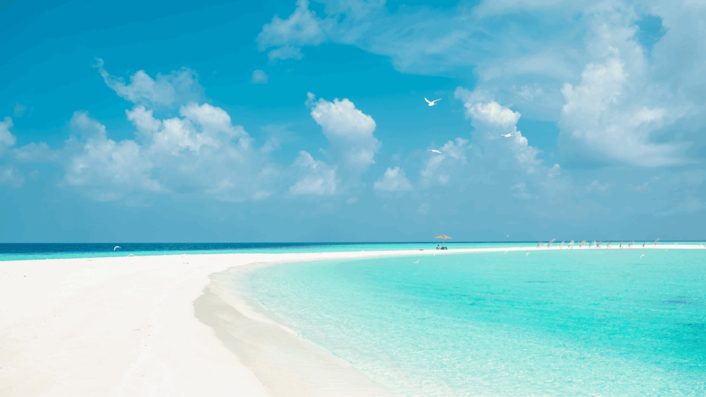 Top 5 Dead Sea Beaches: Ultimate Guide to Floating & Relaxation | Gray ...